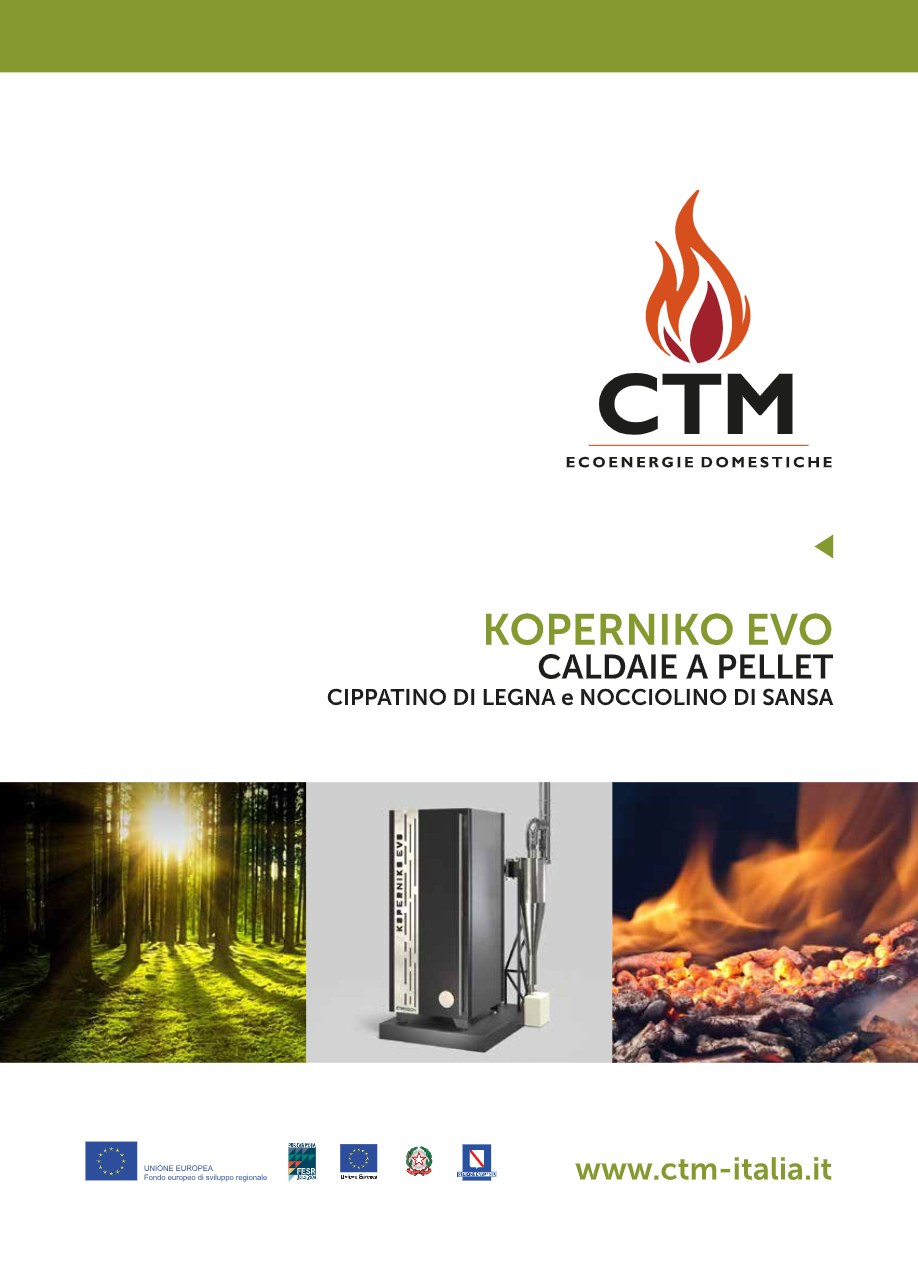 KOPERNIKO EVO Caldaia a pellet, nocciolino di sansa e cippatino di ...