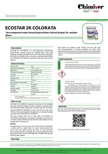 Flooring protection ECOSTAR 2K COLORATA (A+B) By Chimiver Panseri