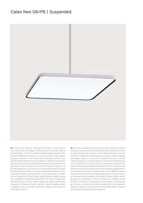 CALEO NEO G6/P6 Suspension By Lightnet